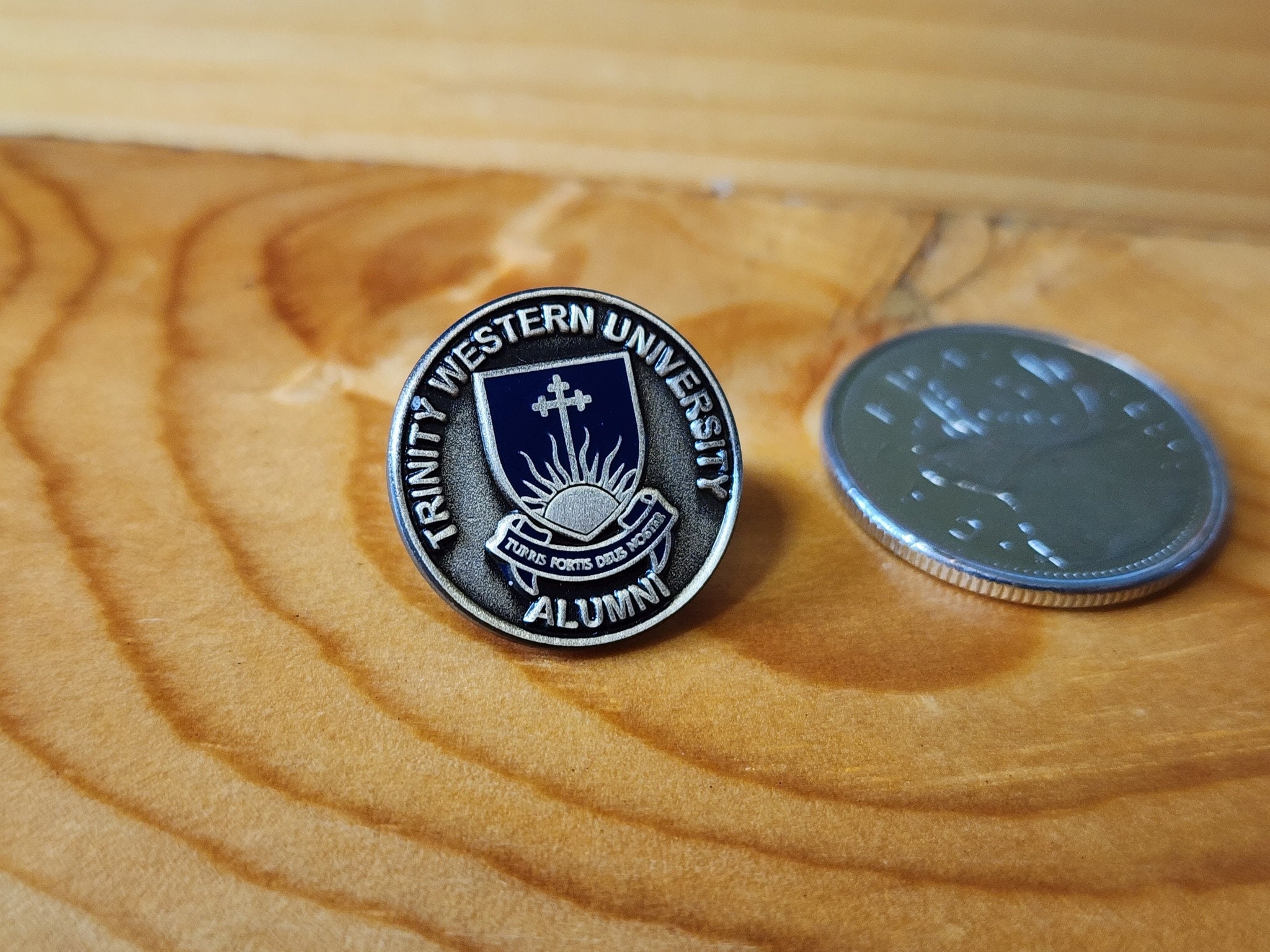 Vintage Trinity Western University Alumni Enamel Pin – TWU Brooch - Etsy