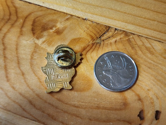 Alaska - Beautiful Vintage Alaskan Brooch Pin Unique … - Gem