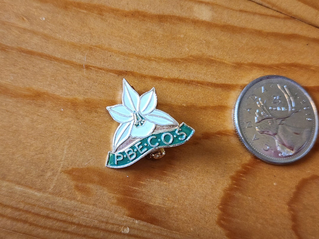 P.B.E.C.O.S. - Beautiful Vintage Orchid Society Brooch Pin Unique Rare ...