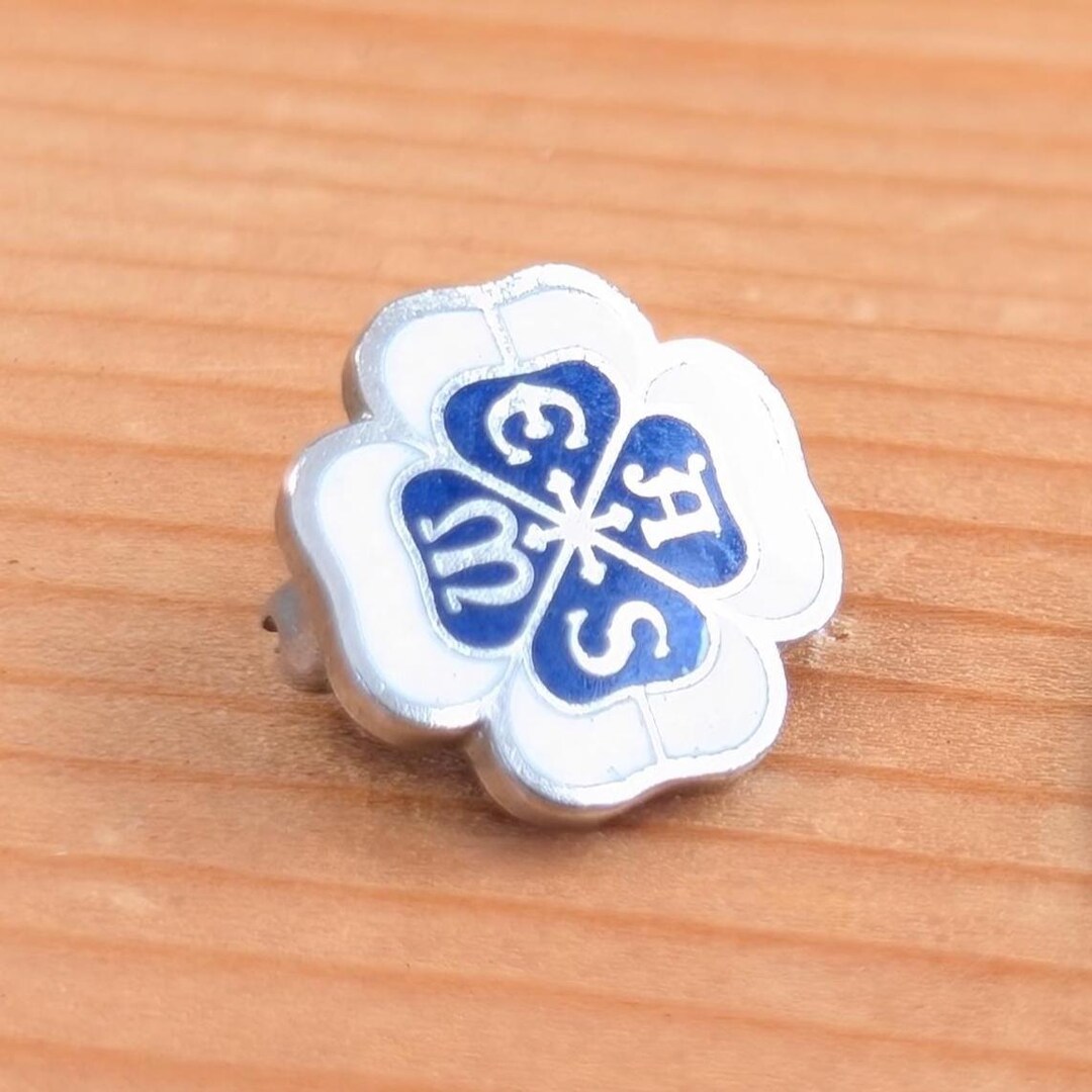 ASME With Clover Symbol Brooch Pin Unique Rare Hat Pin Lapel Pin ...