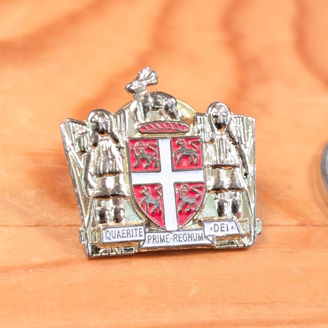 Vintage Newfoundland & Labrador Coat of Arms Enamel Brooch Pin - Etsy