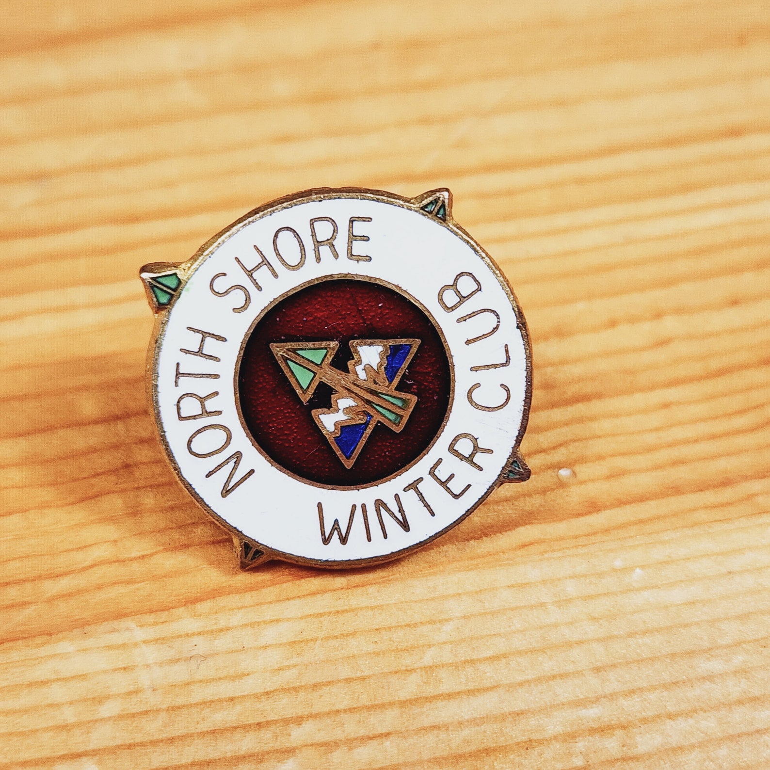 North Shore Winter Club Beautiful Vintage Screw Back Brooch Pin Unique ...