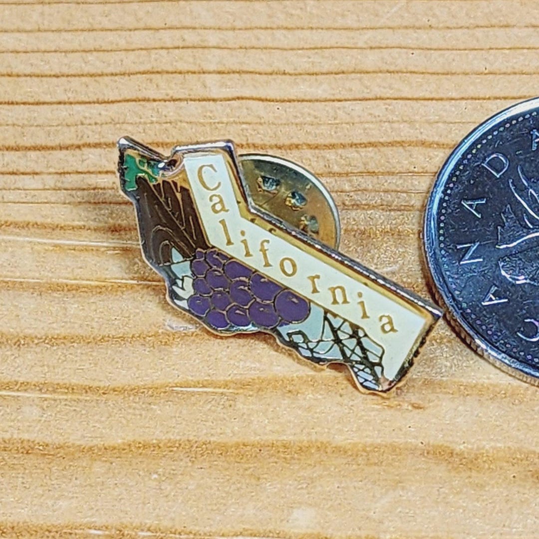 Vintage California Enamel Brooch Pin - Etsy