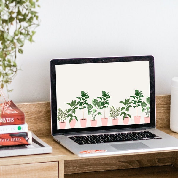 3x Cactus Wallpaper Boho Wallpaper Desktop Background MacBook Wallpaper ...