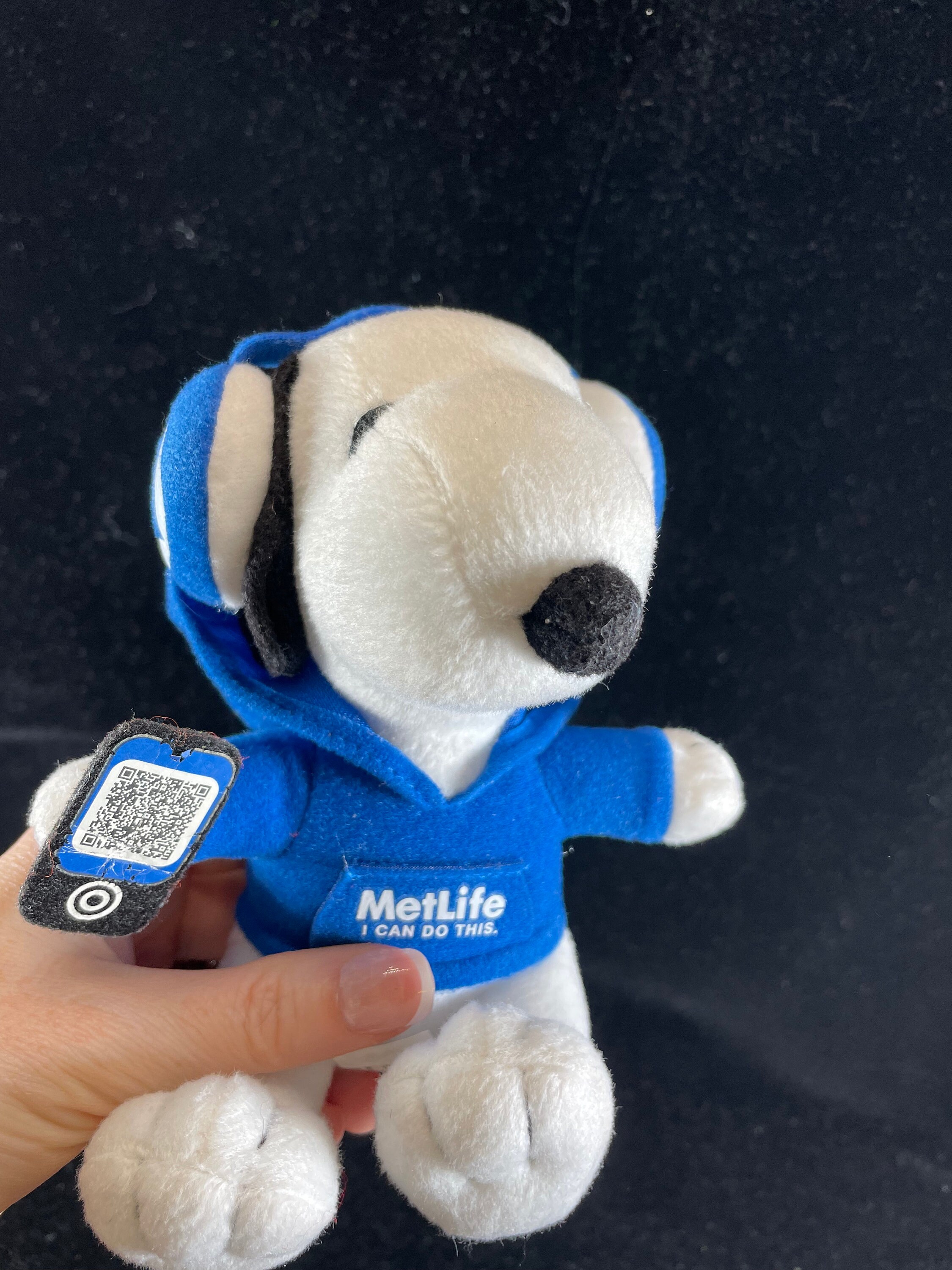 Mini Peanuts Snoopy Dog and Woodstock Bird Bark With Blue Sweatshirt ...