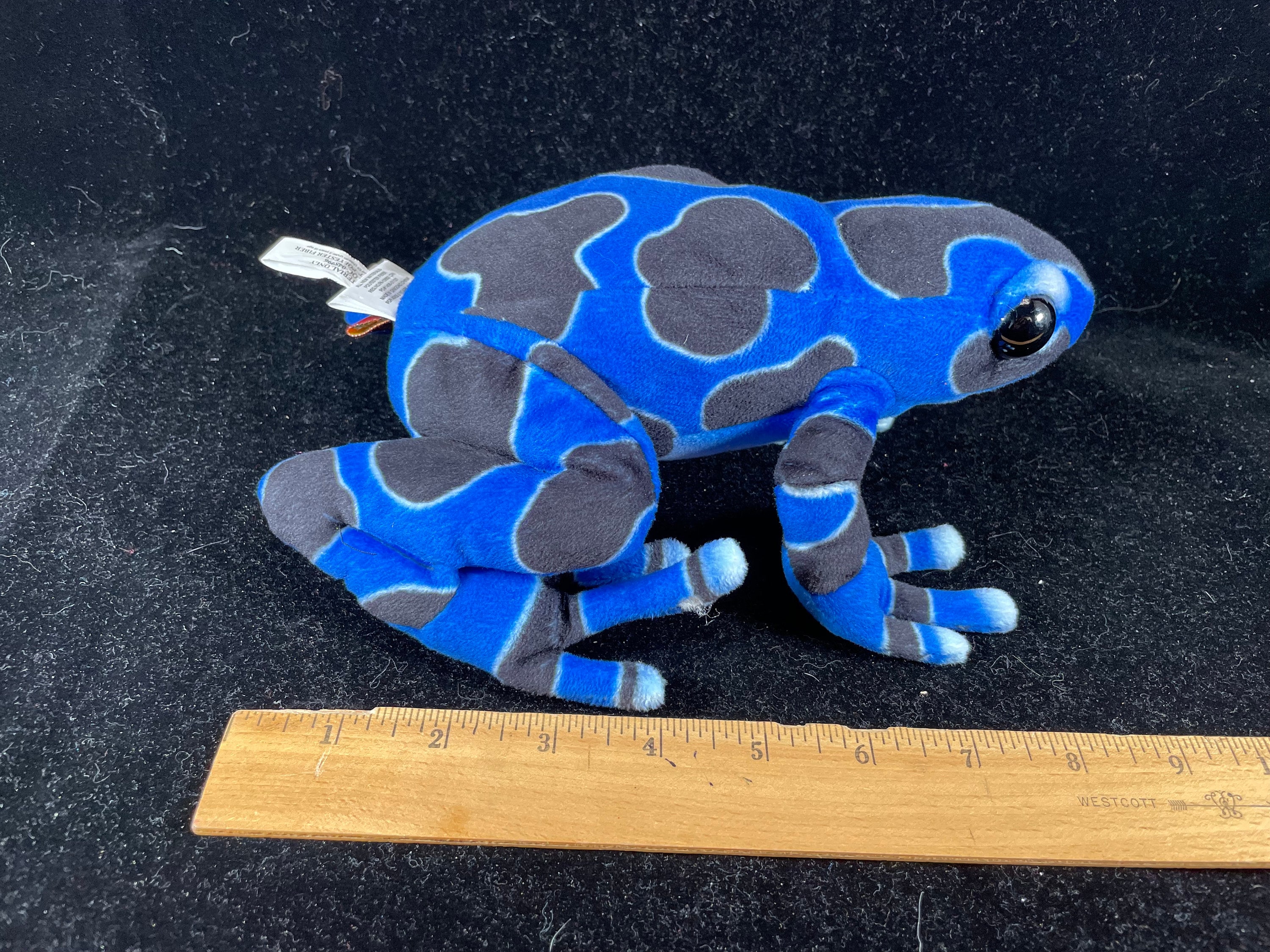 Frog Blue Poison Dart Very Nice Plush Stuffed Animal Toy 9 - Etsy