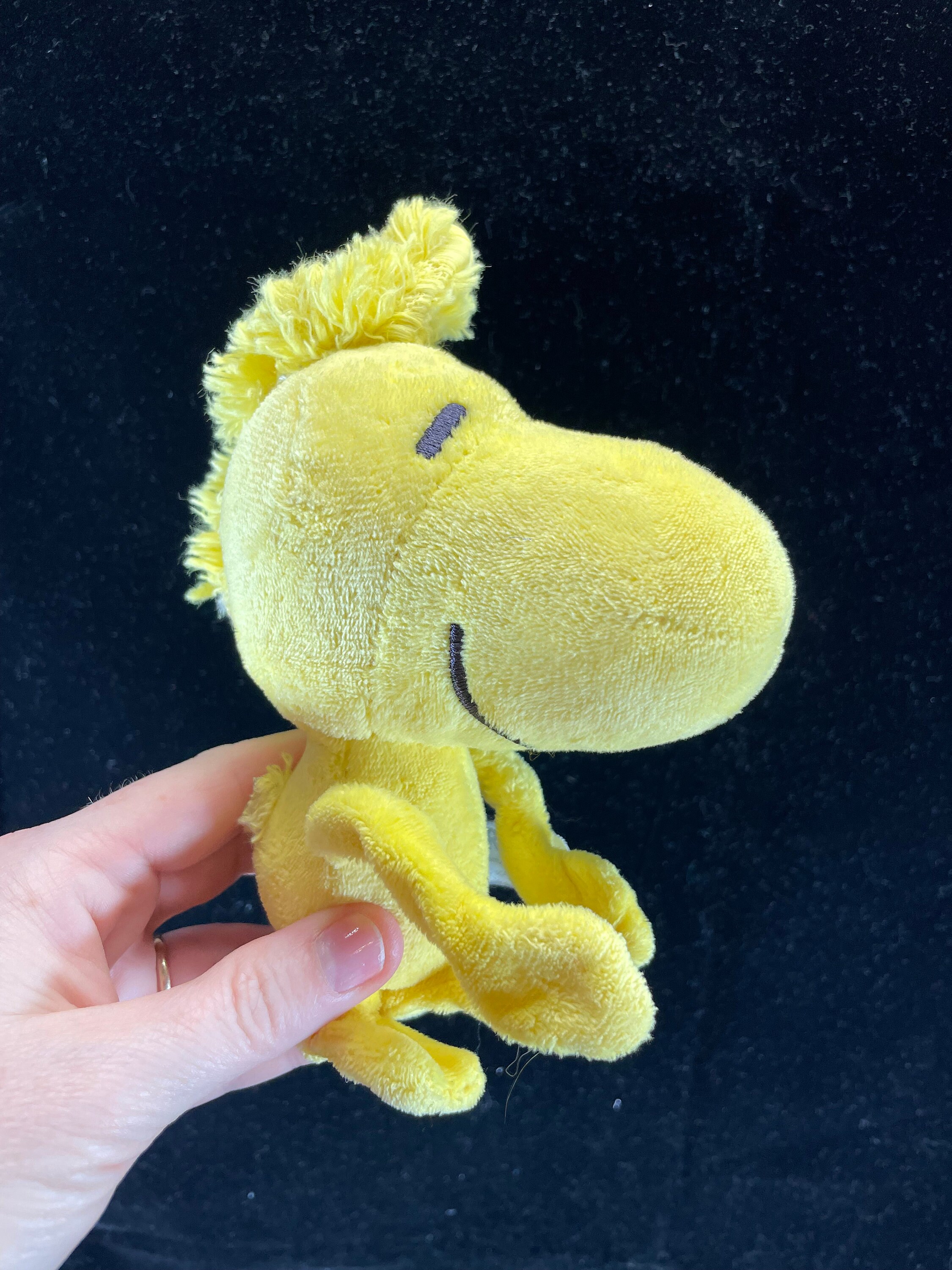 Mini Peanuts Snoopy Dog and Woodstock Bird Bark With Blue Sweatshirt ...