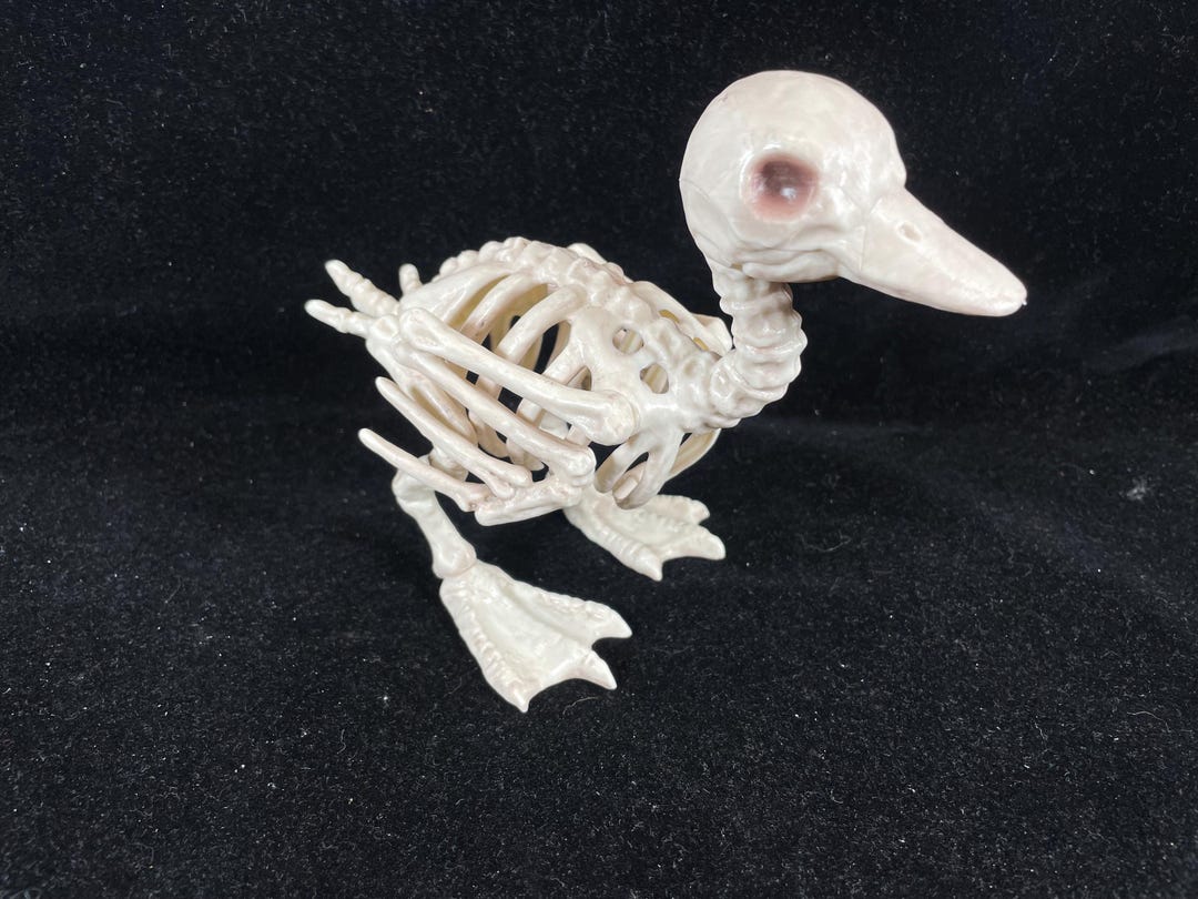 Skeleton Baby Duck Prop Halloween Decoration Realistic Bird Skeleton ...