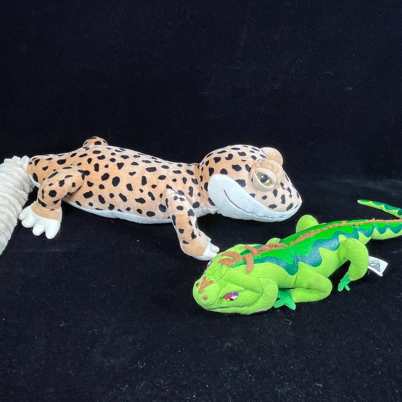 Tom the Lizard Plushie - Etsy