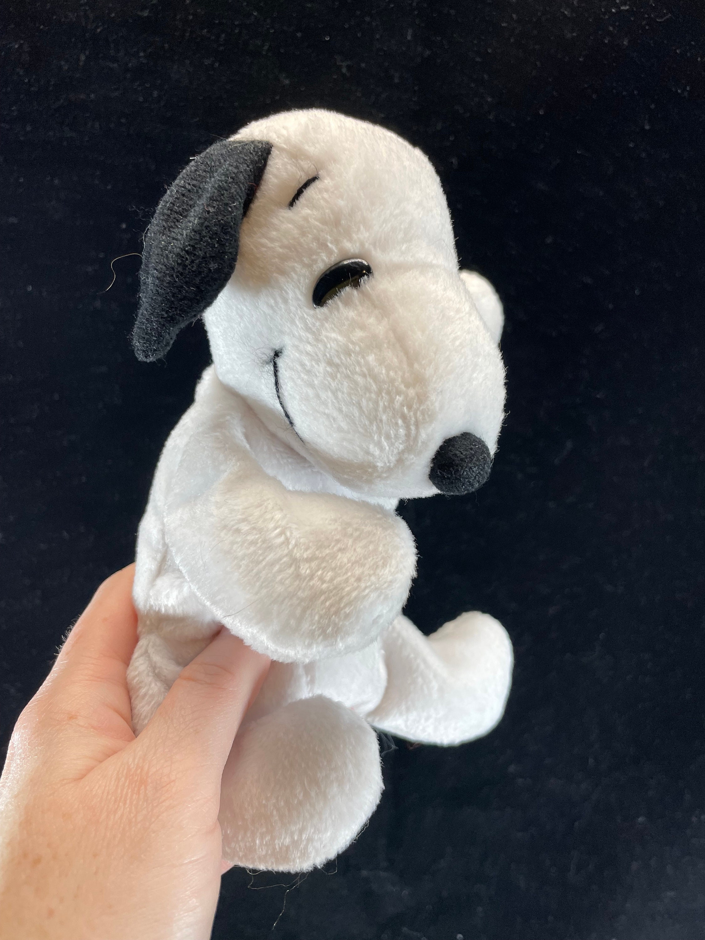 Mini Peanuts Snoopy Dog and Woodstock Bird Bark With Blue Sweatshirt ...