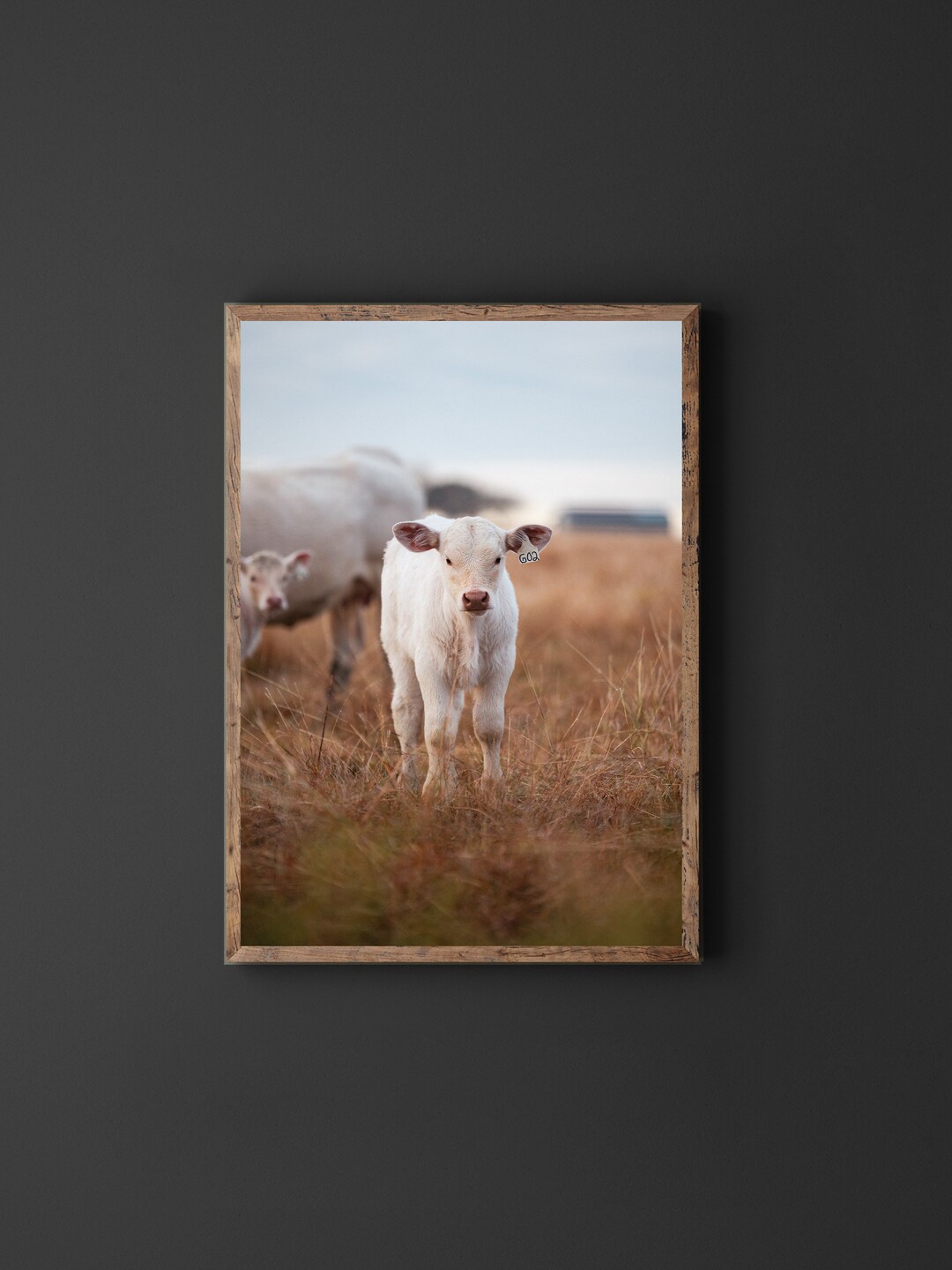 Baby Calf Print | DIY Wall Art | Art Prints | Digital Prints | Wall ...