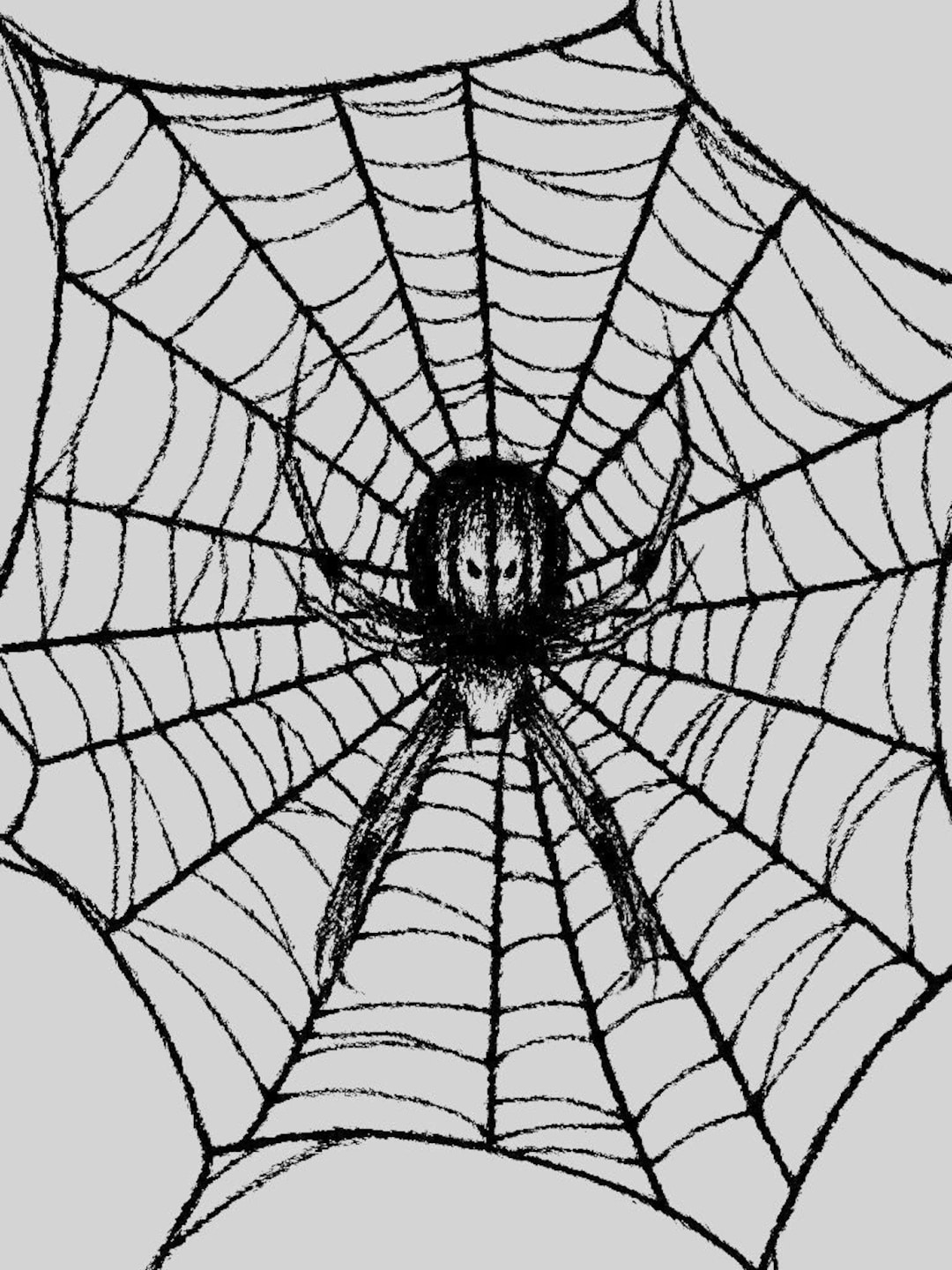 Spider in Web Print - Etsy