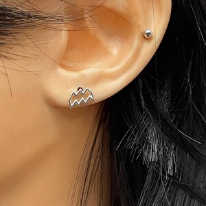 Aquarius Zodiac Sign Stud Earrings | Solid 925 Sterling Silver ...