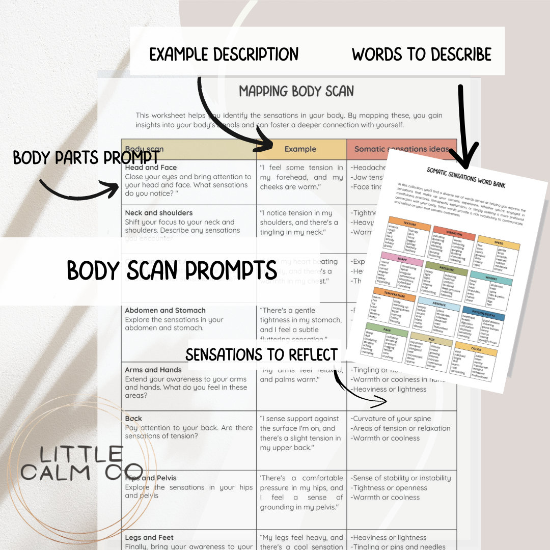 Somatic Skills Awareness Psychoeducation Handouts, Interoception, Body ...