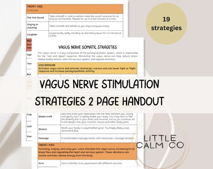 Vagus Nerve Stimulation | Somatic Coping Strategies | Somatic Therapy ...