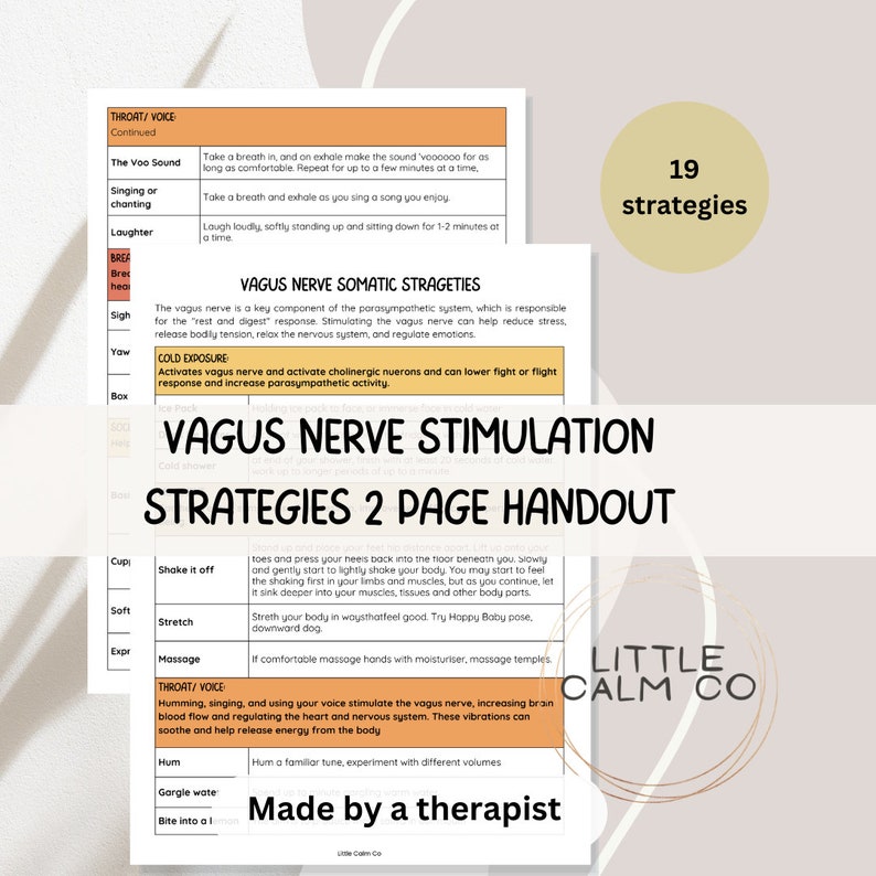 Vagus Nerve Stimulation | Somatic Coping Strategies | Somatic Therapy ...