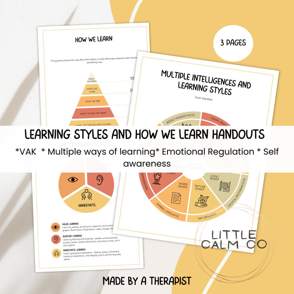 Learning Styles Psychoeducation Handouts | We All Learn Differently ...