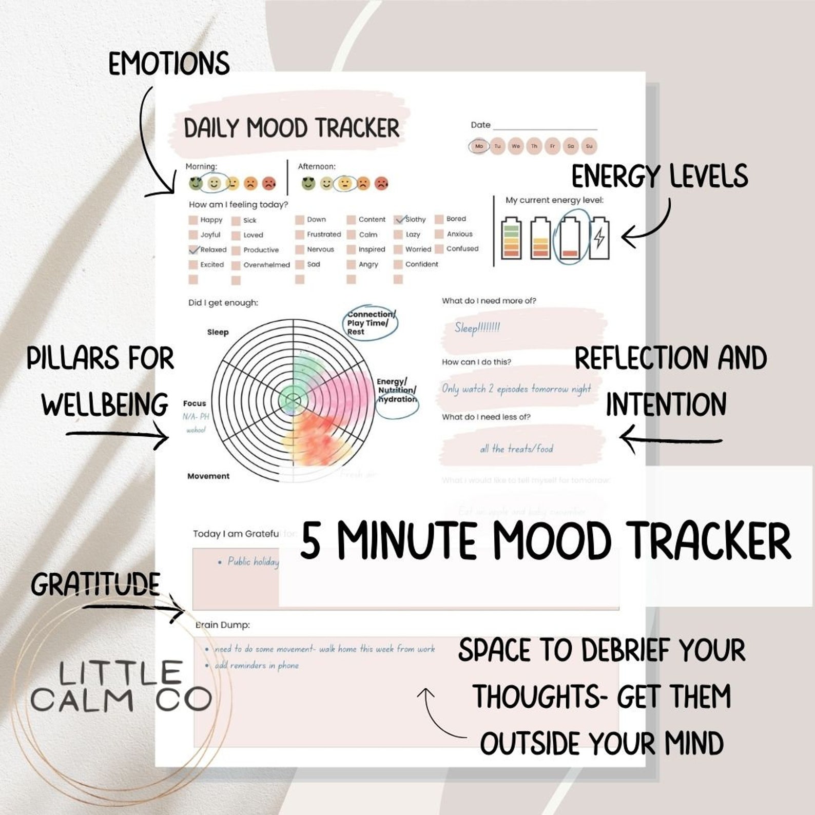 5 Minute Check In, Health Mood Tracker, Energy Levels, Get Out of Your ...