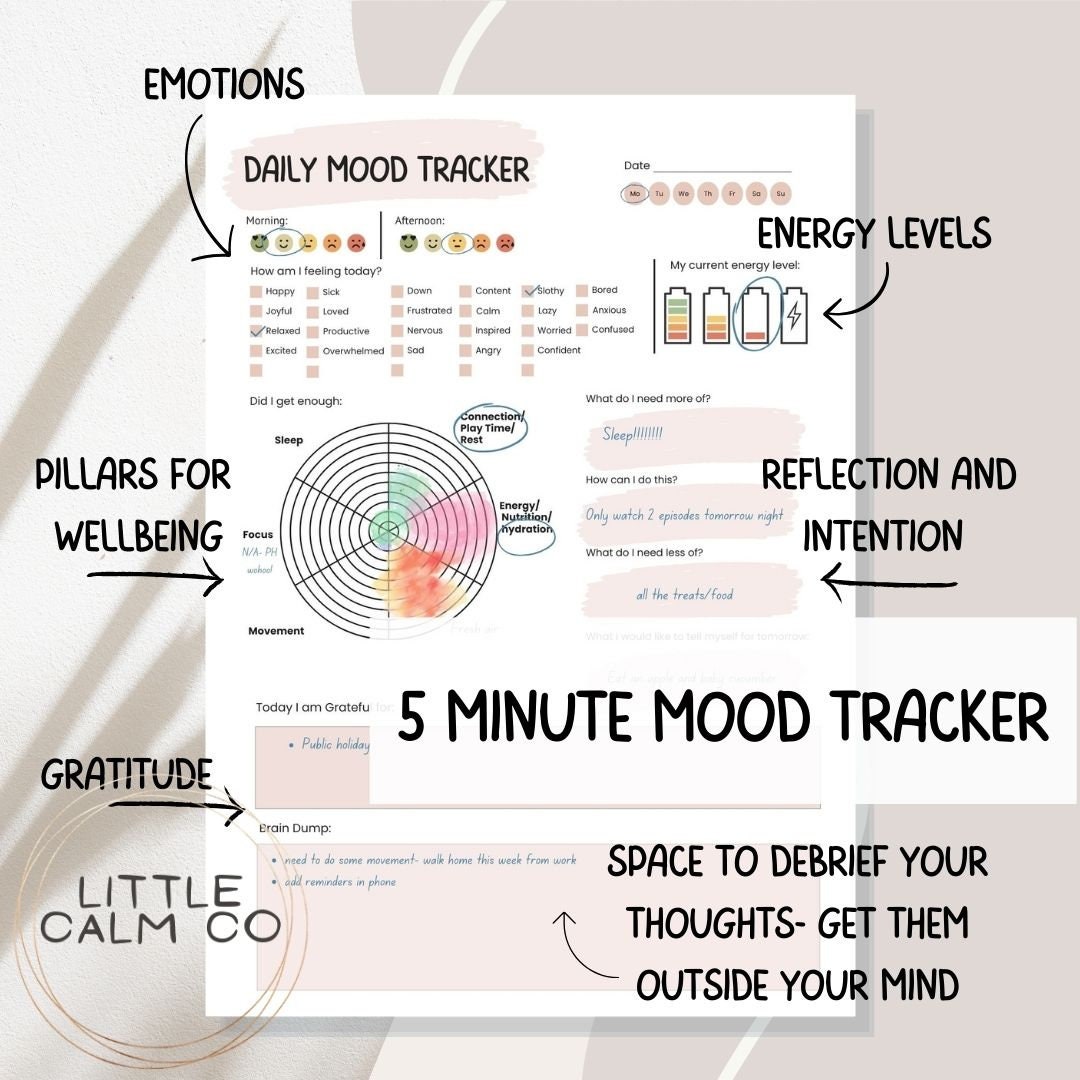 5 Minute Check In, Health Mood Tracker, Energy Levels, Get Out of Your ...