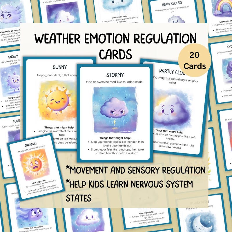 Zones of Regulation - Etsy