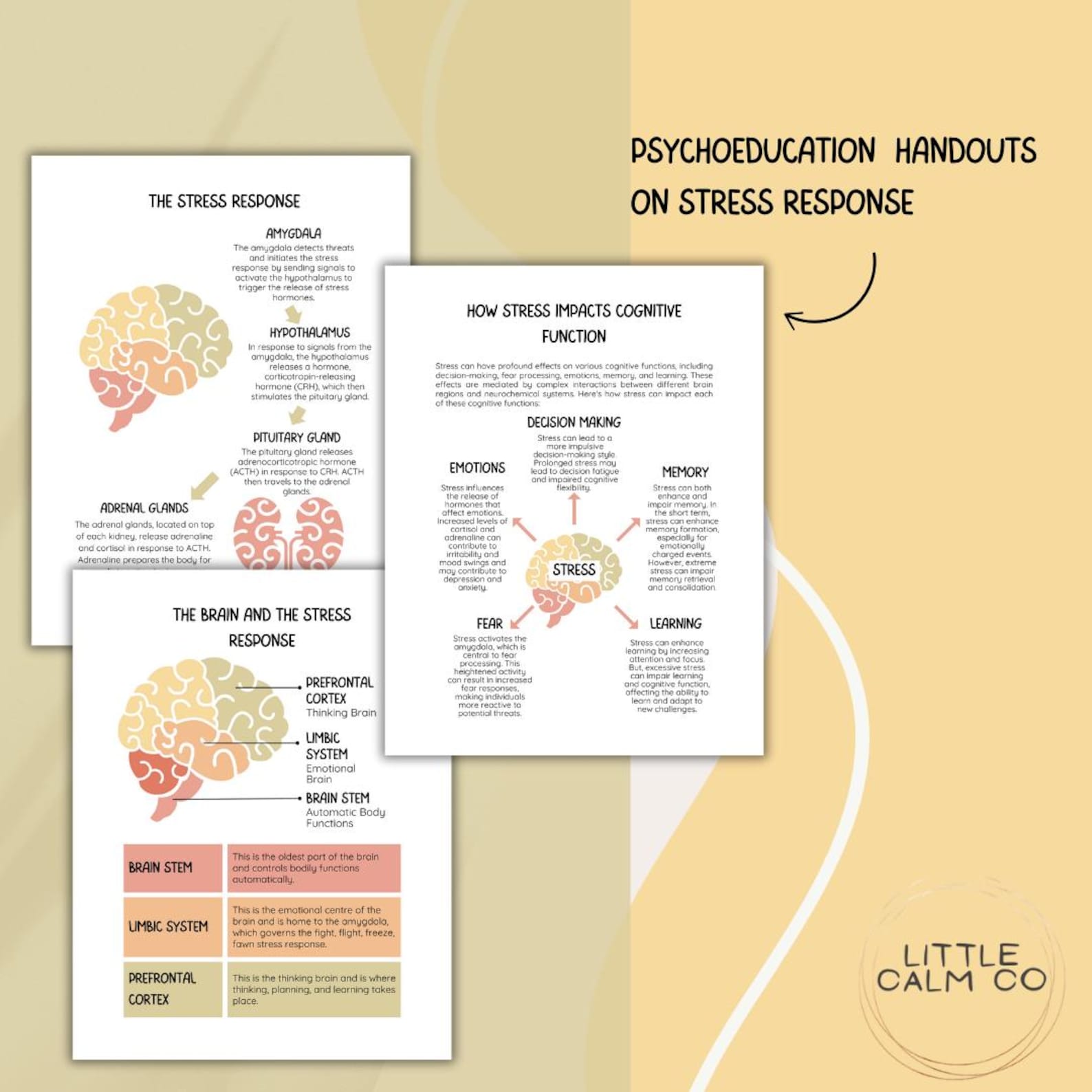 Trauma Stress Response Therapy Handouts and Worksheets | Flight, Fight ...