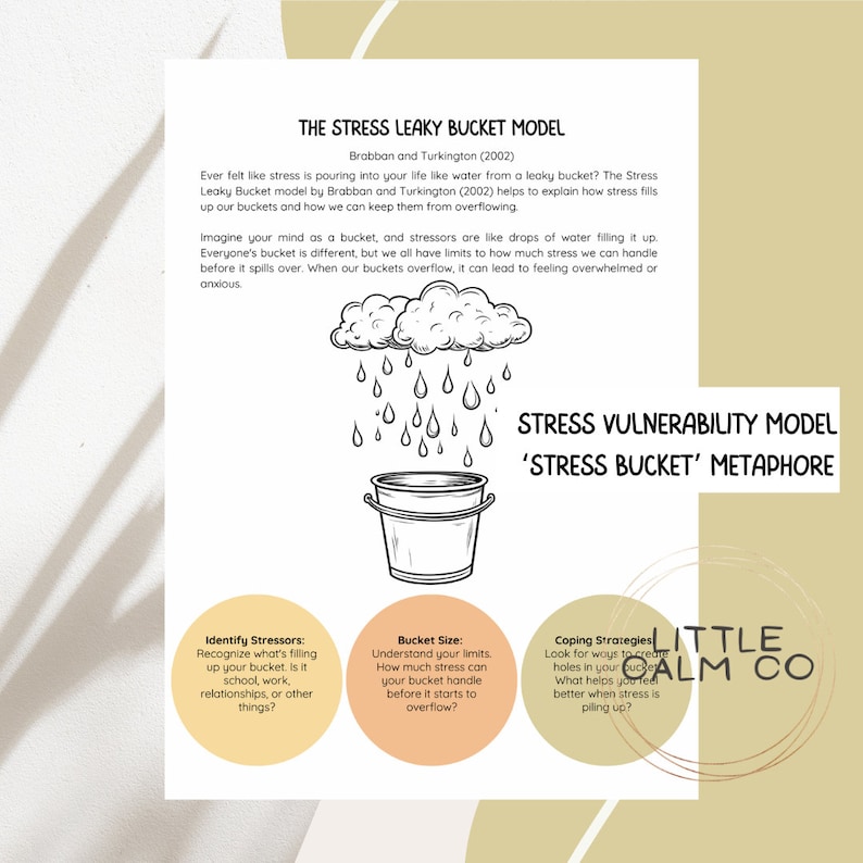 Stress Vulnerability Handouts, Stress Bucket, Psychoeducation ...