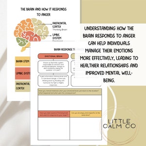 Brain Response to Anger | Anger Management Tools | STOP Skill | | ADHD ...