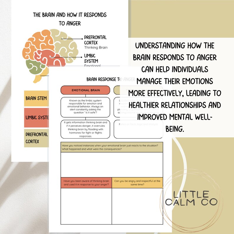 Brain Response to Anger | Anger Management Tools | STOP Skill | | ADHD ...