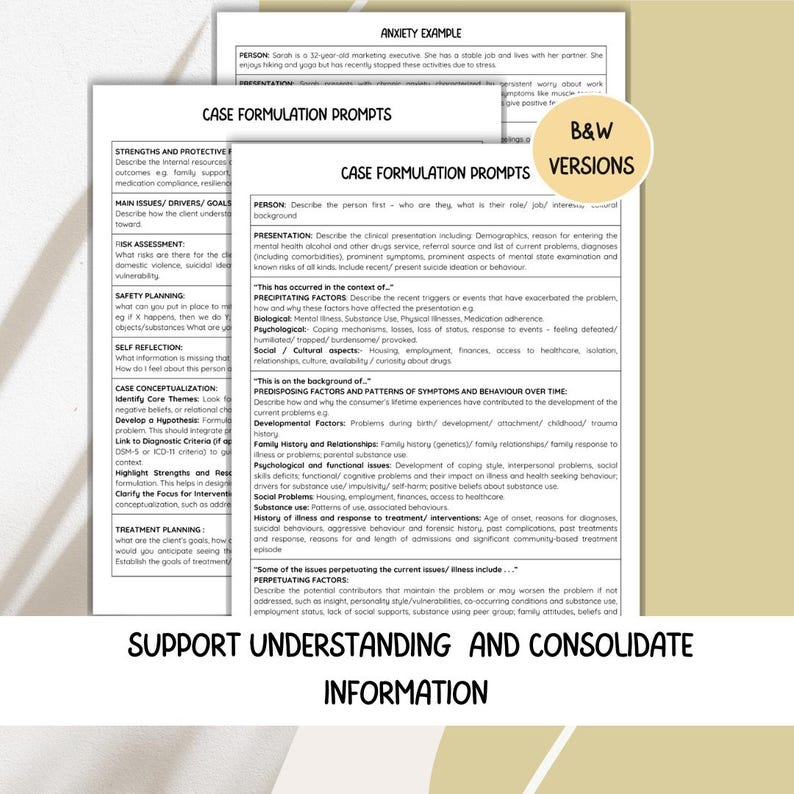 5 P Case Formulation Guide, Mental Health Assessment, Treatment ...