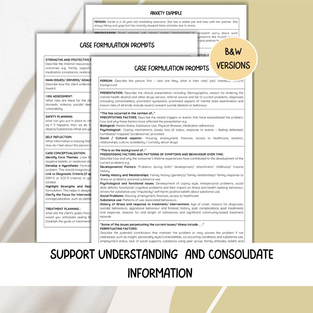5 P Case Formulation Guide, Mental Health Assessment, Treatment ...