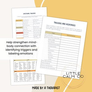 Emotions Feelings Wheel | Feelings Charts | Identify and Label Emotions ...