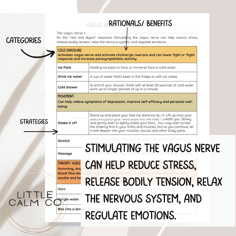 Vagus Nerve Stimulation | Somatic Coping Strategies | Somatic Therapy ...