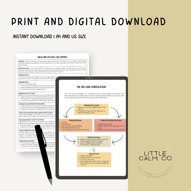 5 P Case Formulation Guide, Mental Health Assessment, Treatment ...