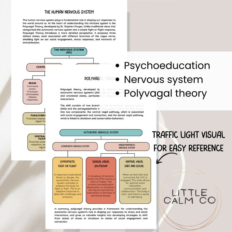 Polyvagal Theory Psychoeducation Handouts, Emotional Regulation Skills ...