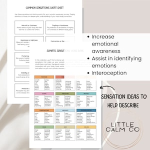 Somatic Skills Awareness Psychoeducation Handouts, Interoception, Body ...