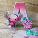 AXOLOTL 3D LETTER, Axolotl Party Decorations, Axolotl Theme Party ...