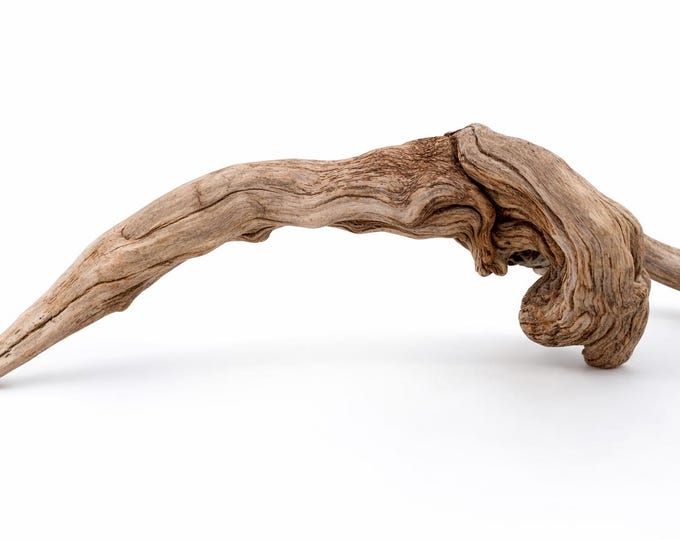 Natural Manzanita Wood Branch Sculpture | 2'3" Large Sanded Driftwood ...