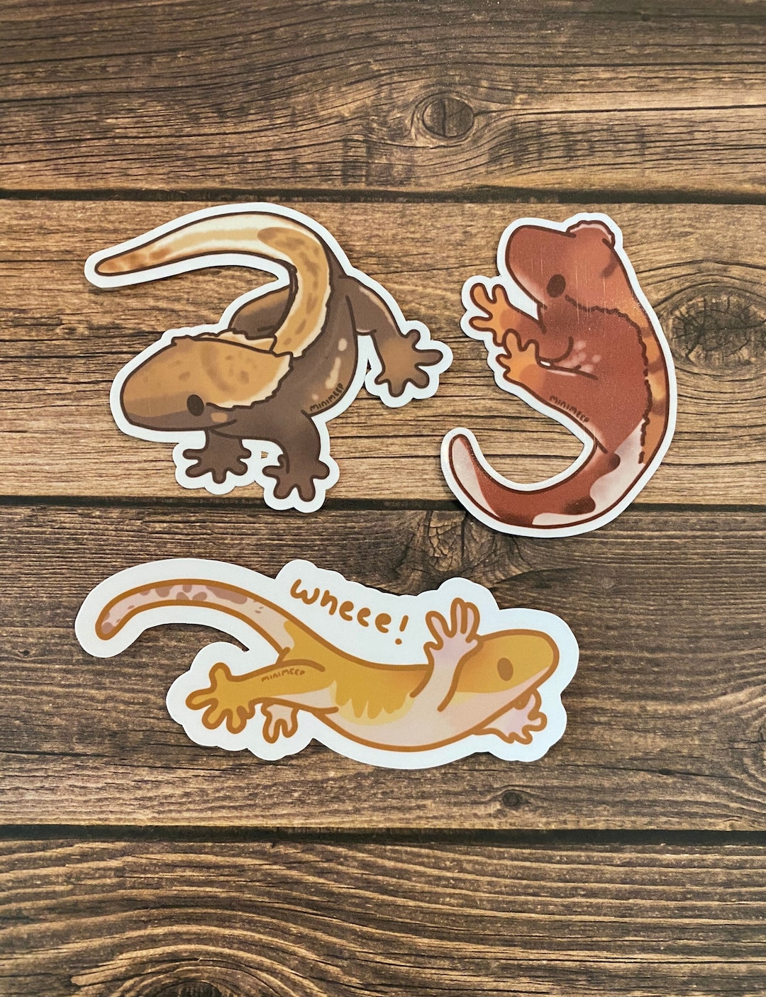 Crested Geckos Flame and Normal Morph, and Wheee Jumping Gecko Stickers ...