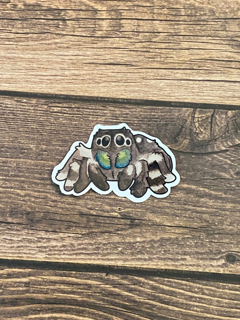 Bold Jumping Spider Cute Spider Waterproof Vinyl Sticker - Etsy