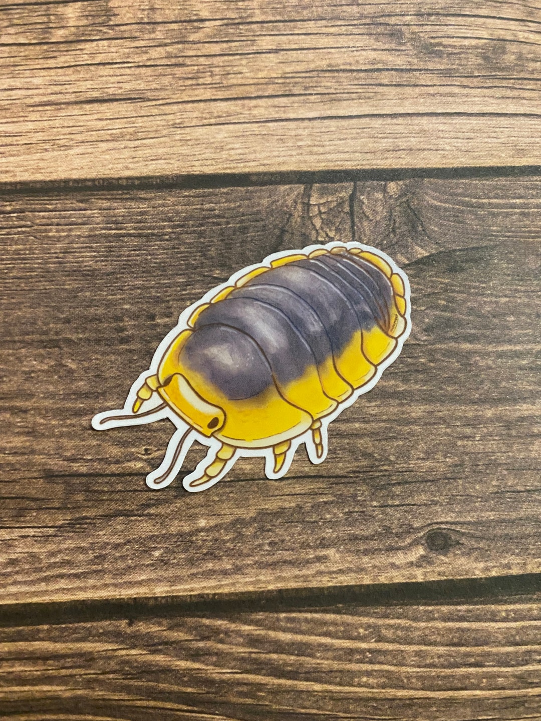 2 Rubber Ducky Isopod Sticker Cute Isopod Waterproof Vinyl Sticker - Etsy