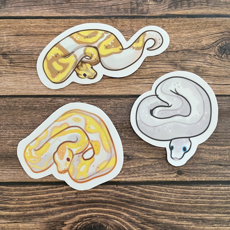 Albino Snake - Etsy
