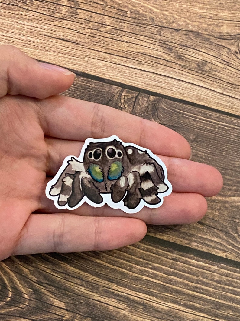 Bold Jumping Spider Cute Spider Waterproof Vinyl Sticker - Etsy