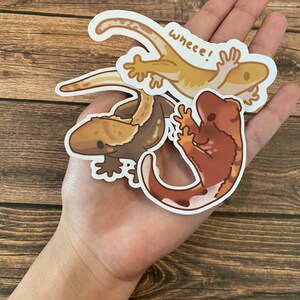 Crested Geckos Flame and Normal Morph, and Wheee Jumping Gecko Stickers ...