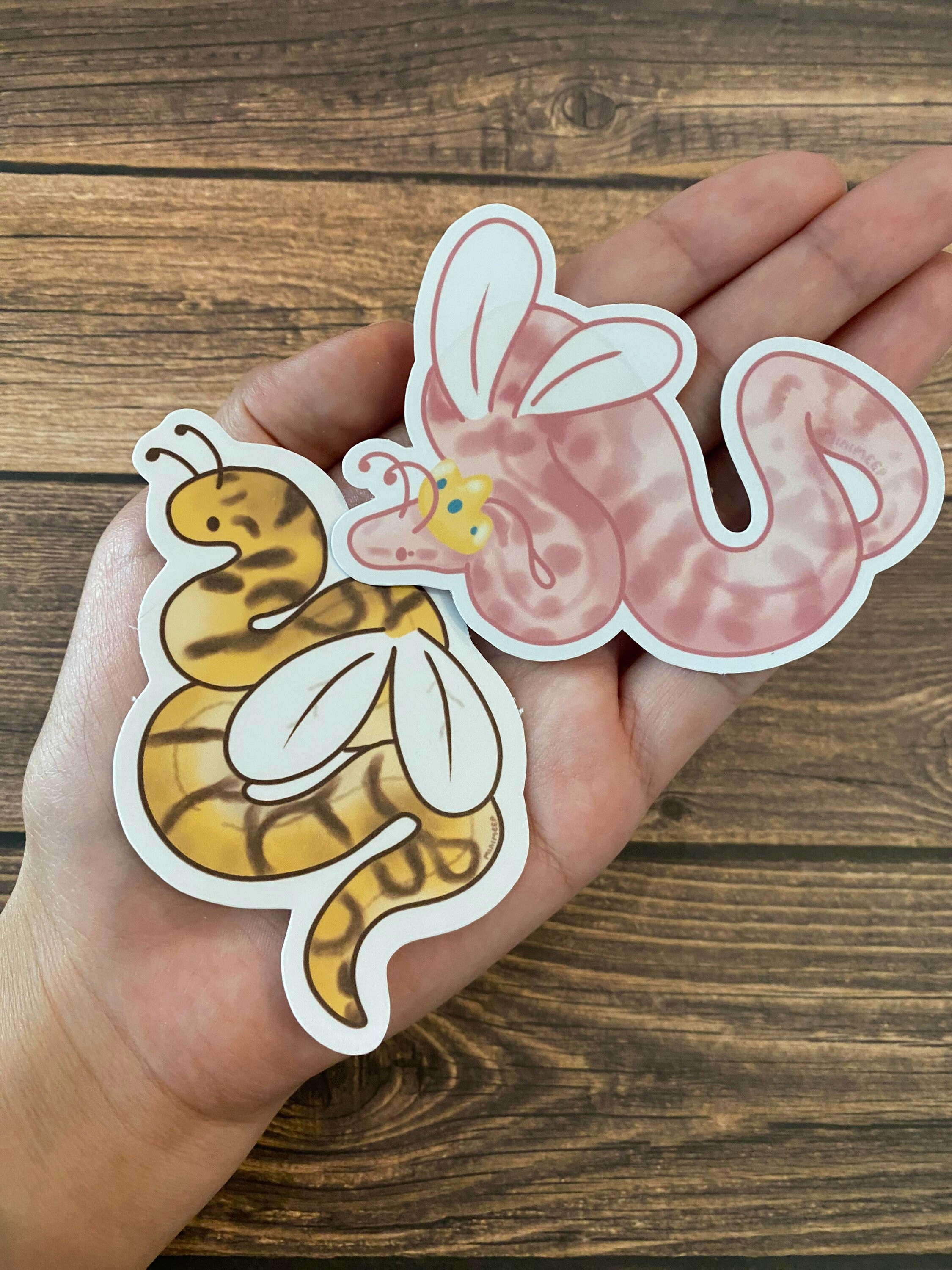 Ball Python Bee Buddies Bumblebee and Pink Queen Bee Ball Python Morphs ...