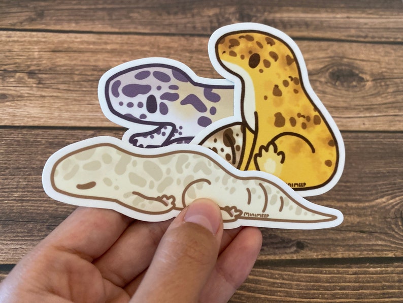 Leopard Gecko Waterproof Matte Vinyl Sticker - Etsy