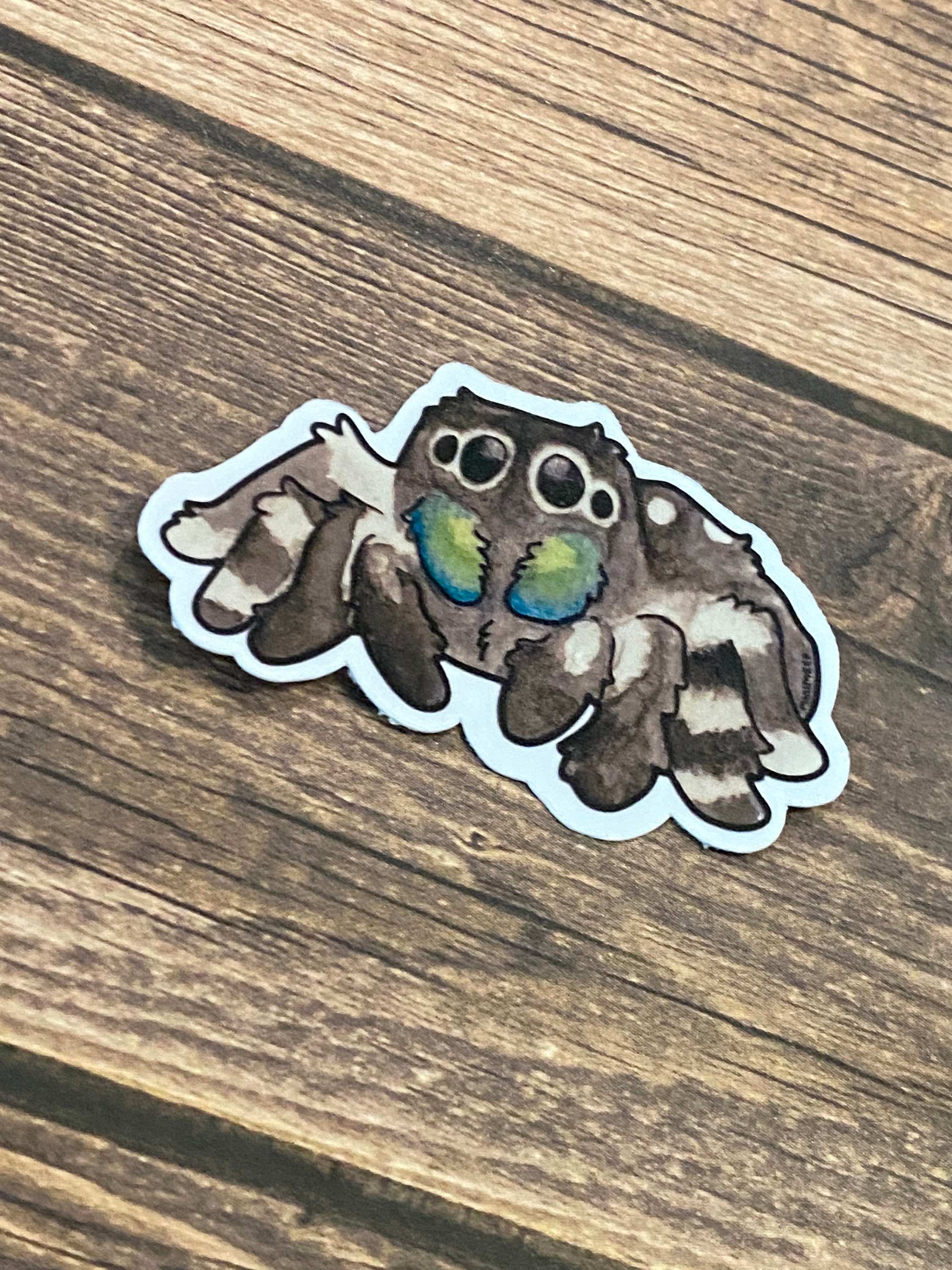 Bold Jumping Spider Cute Spider Waterproof Vinyl Sticker - Etsy