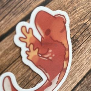 Crested Geckos Flame and Normal Morph, and Wheee Jumping Gecko Stickers ...