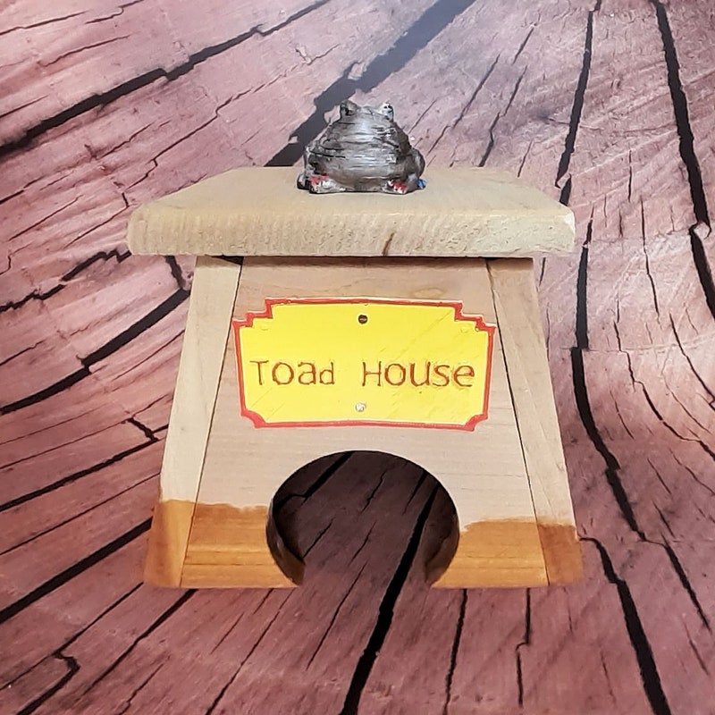 Toad House - Etsy
