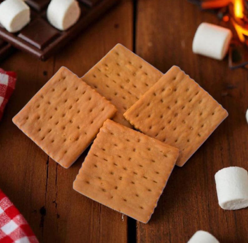 Fake Realistic Graham Cracker, Smores, Fake Bake Supplies, Tiered Tray ...