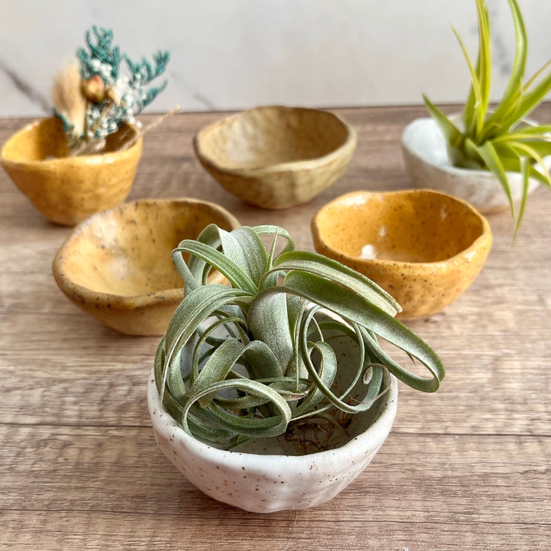 Ceramic Pinch Pot - Etsy